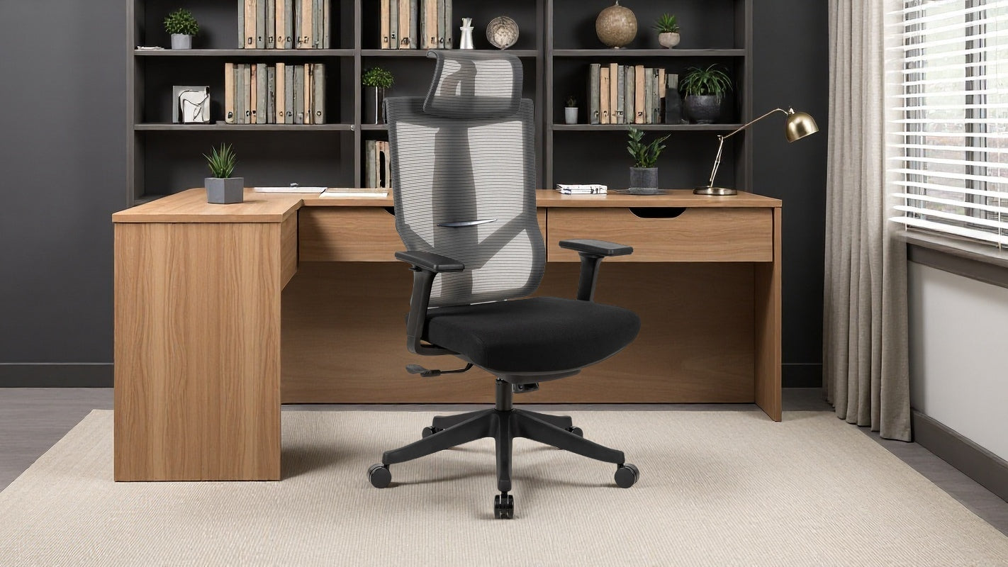 300lbs Ergonomic Office Chair vs Standard Office Chairs Which Is Right ...